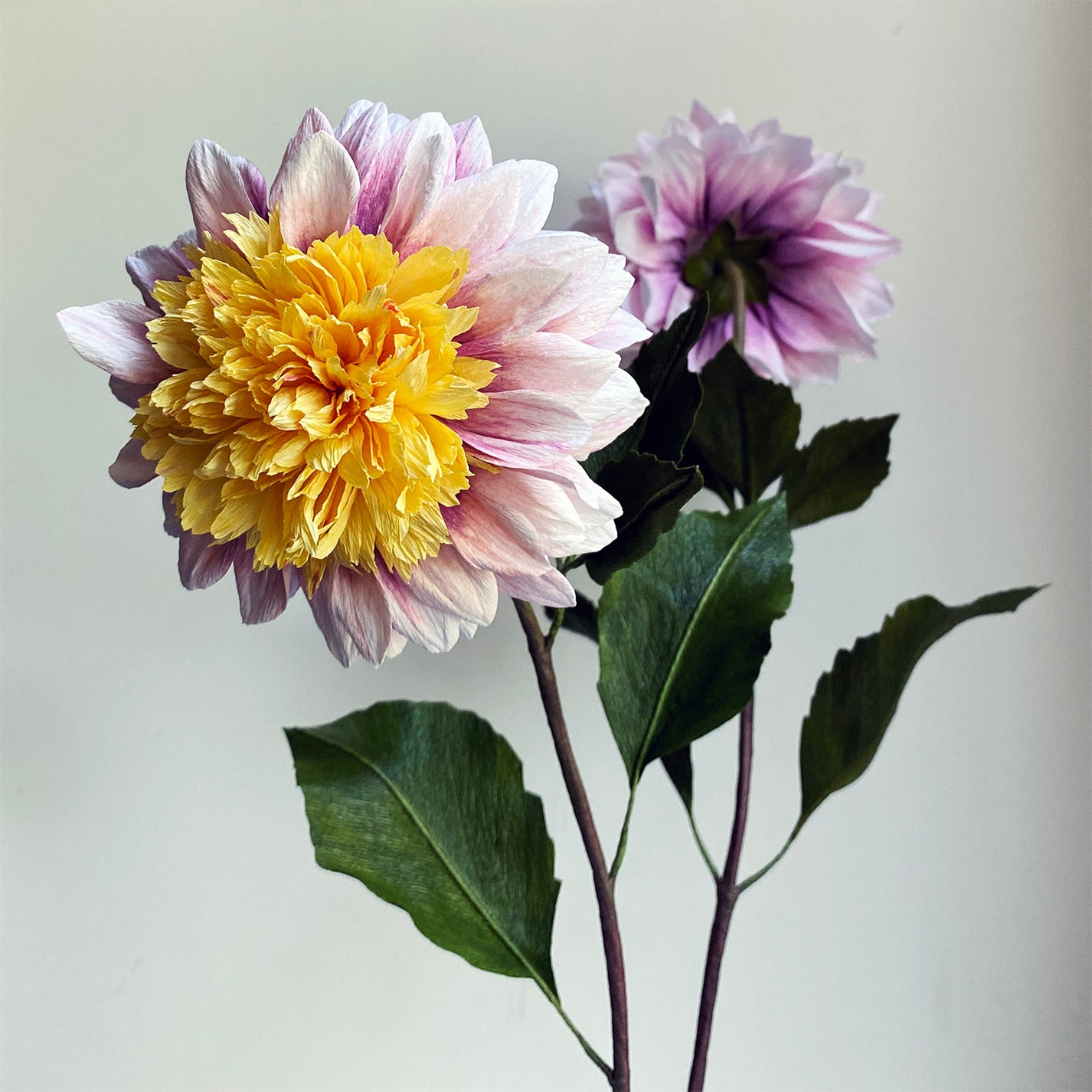 Dahlia Polka Course – BOUQ Paper Flowers