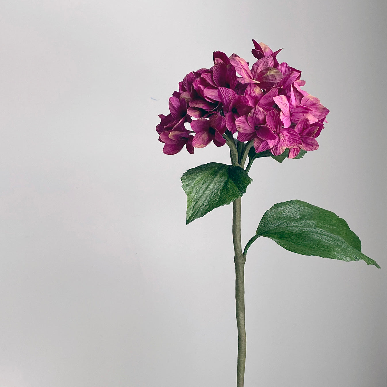 Plum Hydrangea – BOUQ Paper Flowers