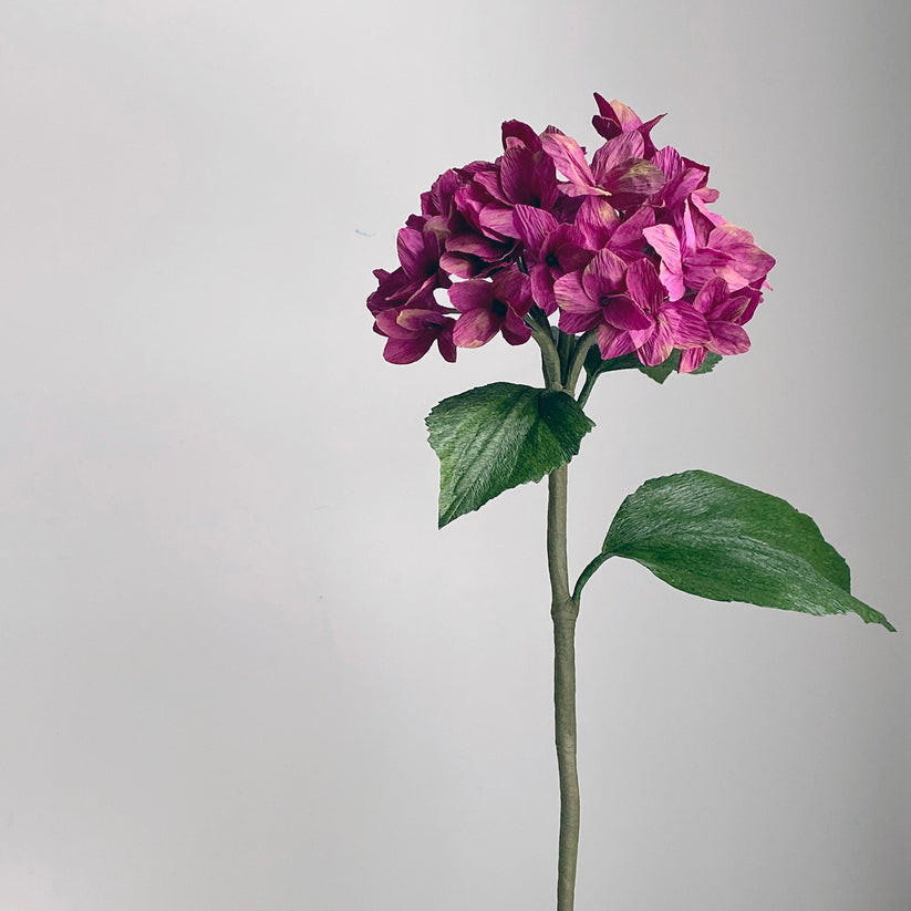 Plum Hydrangea – BOUQ Paper Flowers