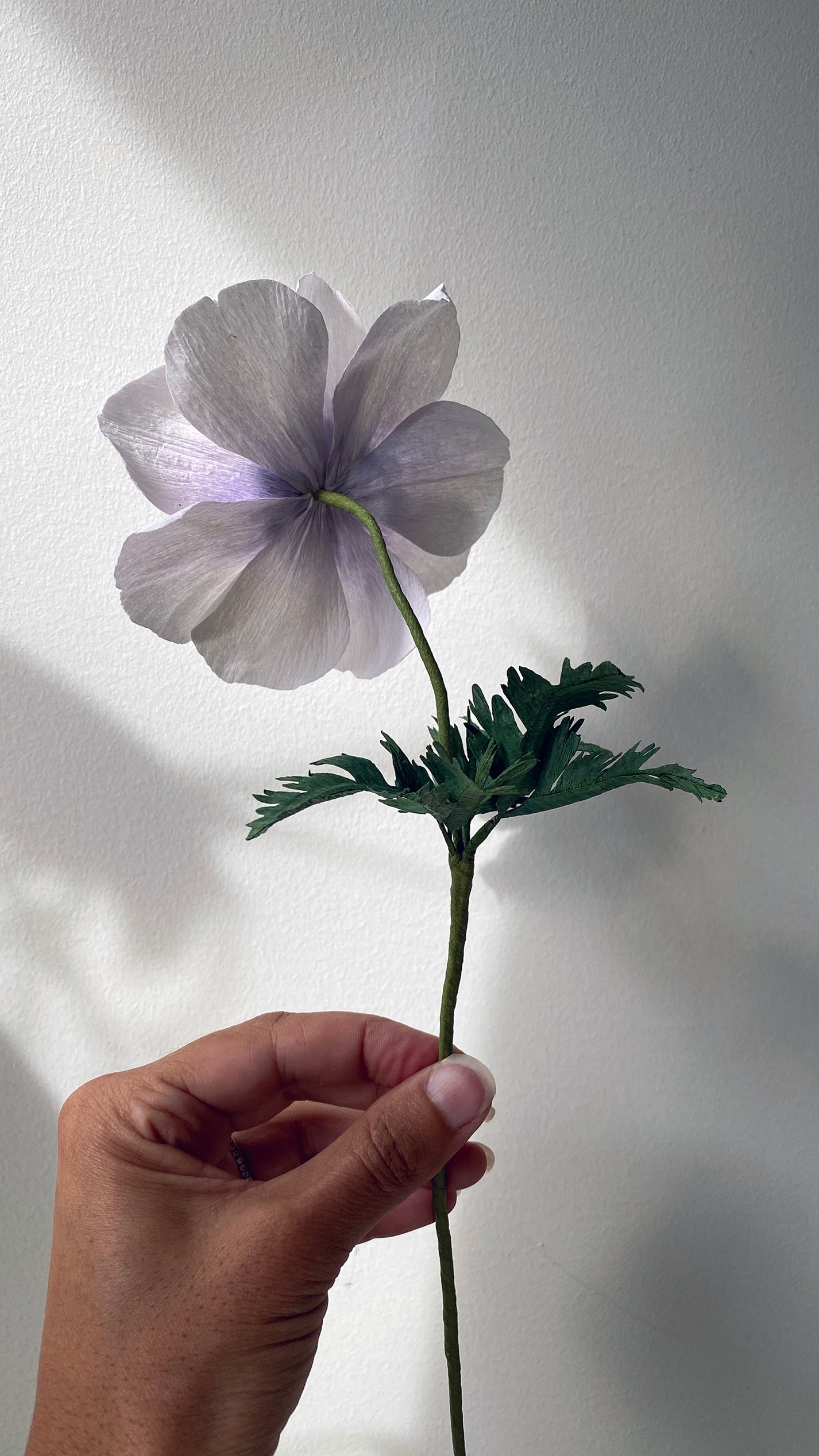 Anemone Giant Animo – BOUQ Paper Flowers
