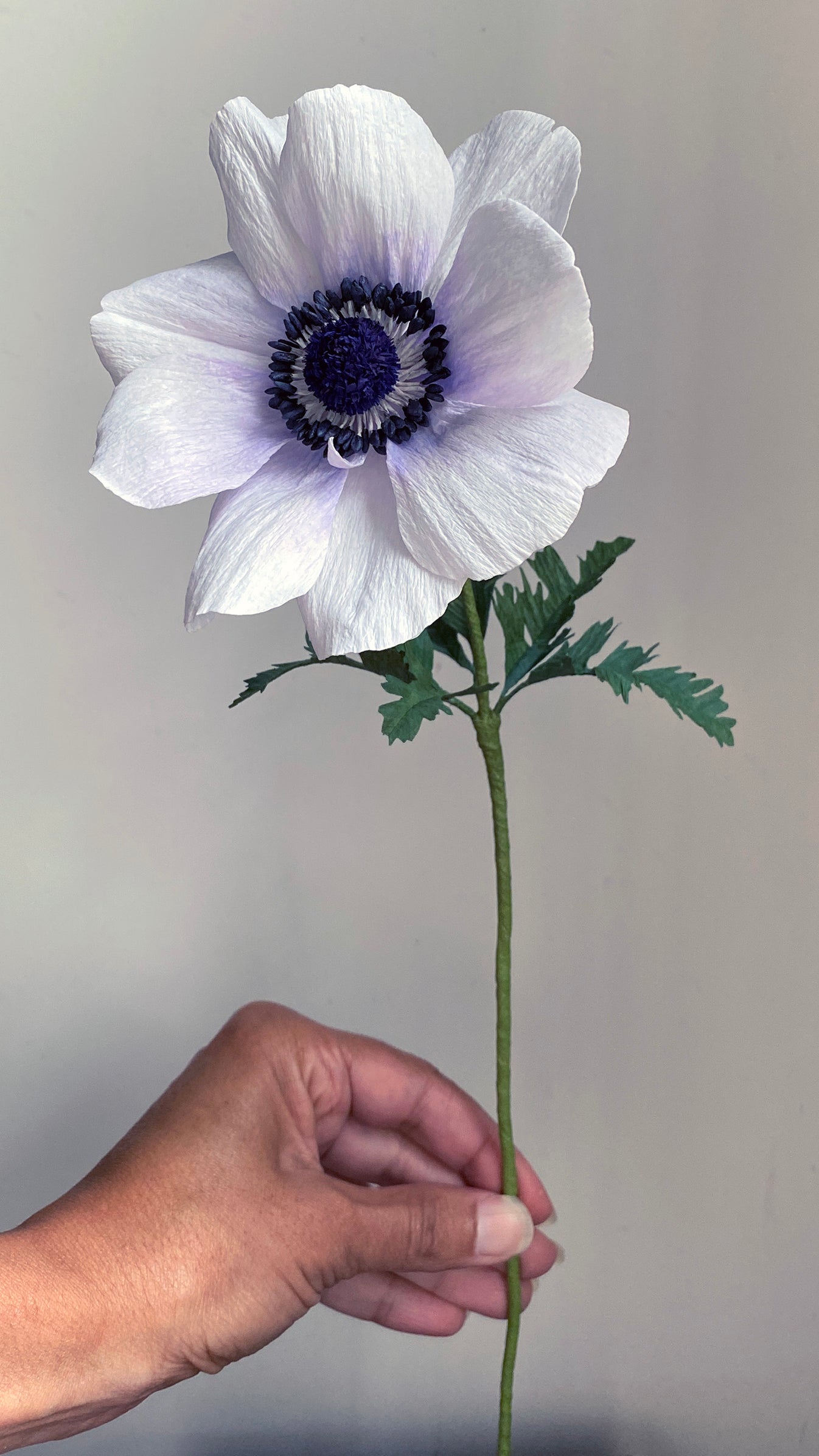 Anemone Giant Animo – BOUQ Paper Flowers