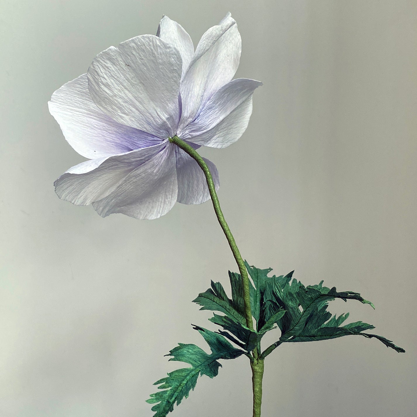 Anemone Giant Animo – BOUQ Paper Flowers