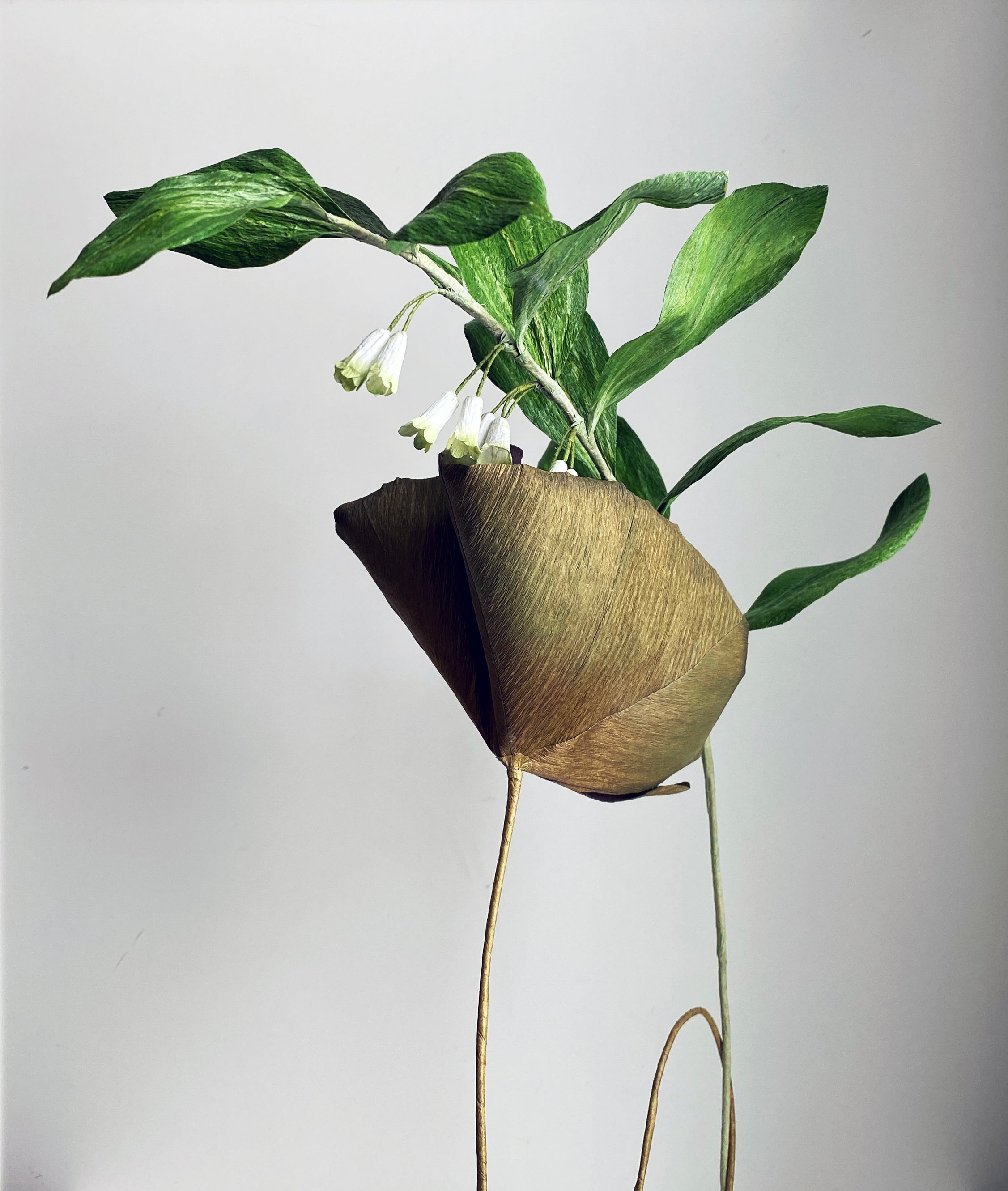 Lotus Effect — BOUQ Paper Flowers