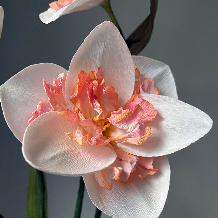 Special Order – Page 2 – BOUQ Paper Flowers