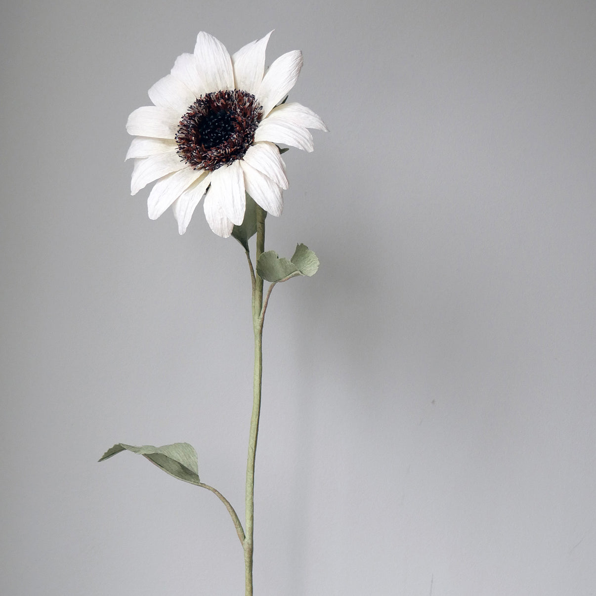 Italian White Sunflower – BOUQ Paper Flowers