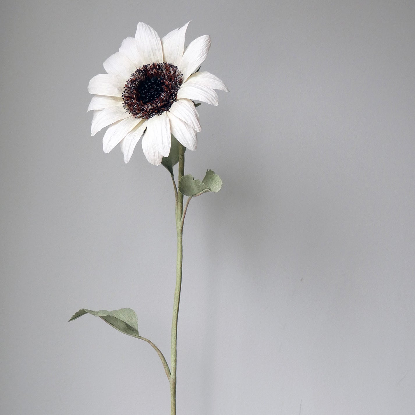 Italian White Sunflower – BOUQ Paper Flowers