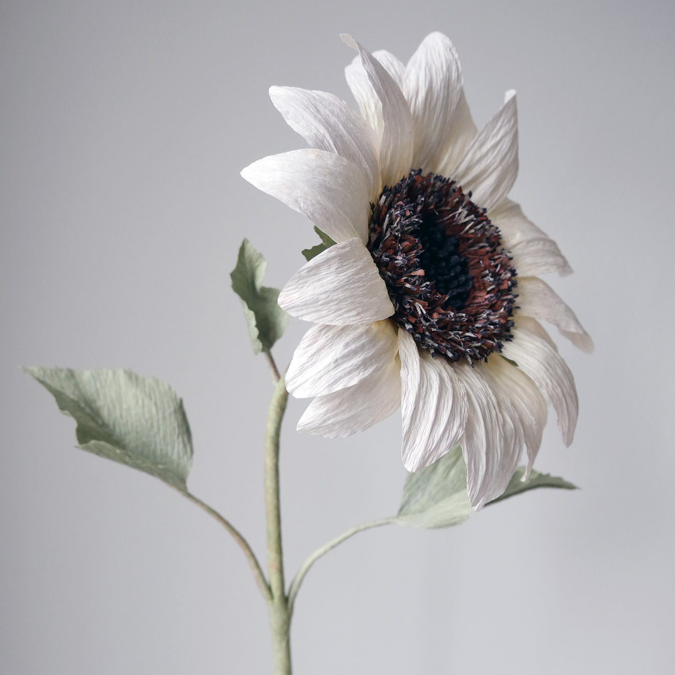 Italian White Sunflower – BOUQ Paper Flowers