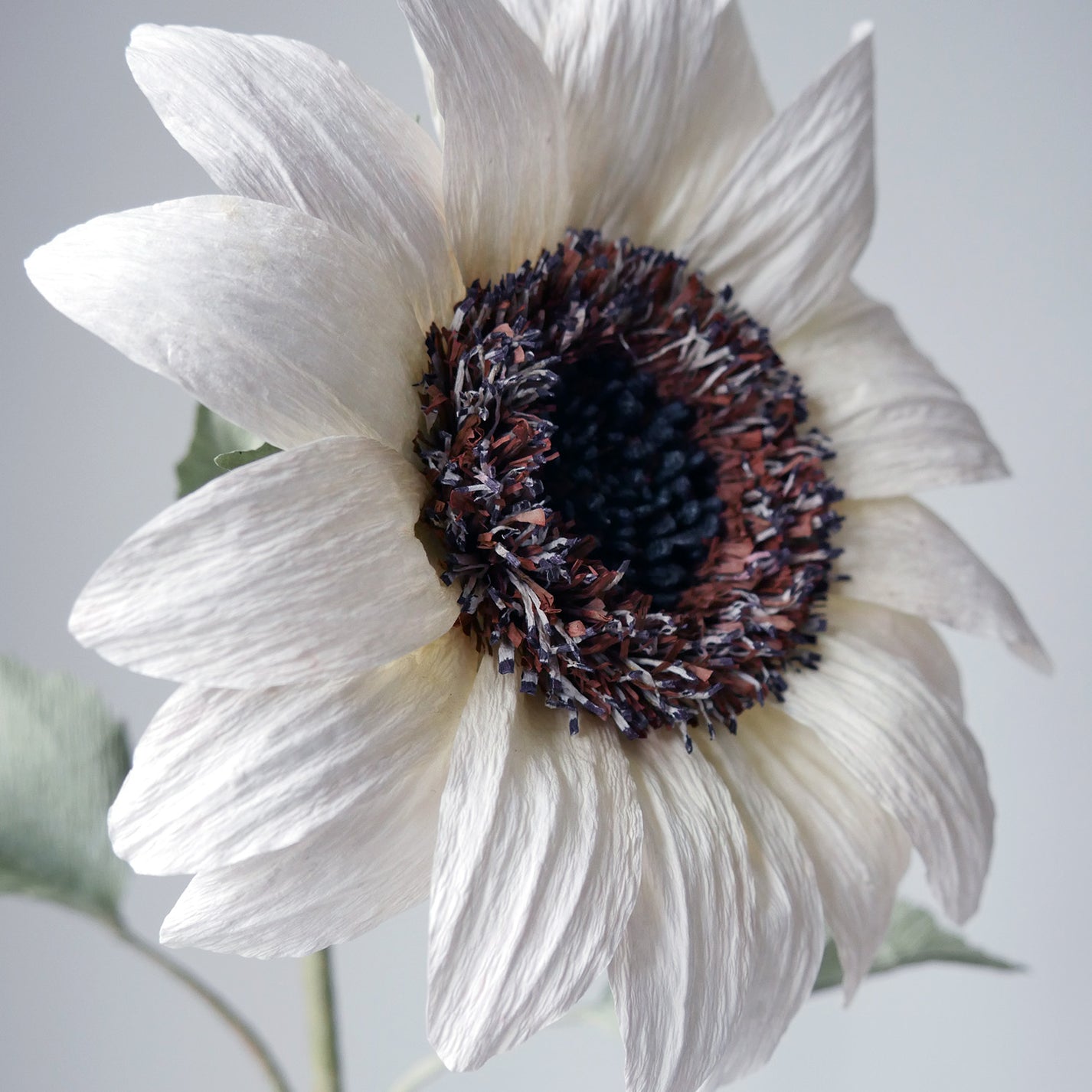 Italian White Sunflower – BOUQ Paper Flowers