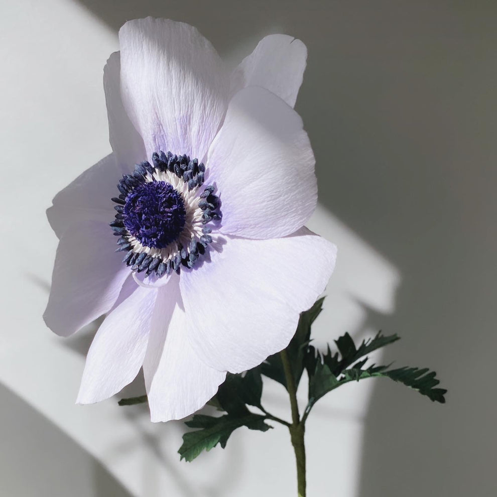 Anemone Giant Animo – BOUQ Paper Flowers